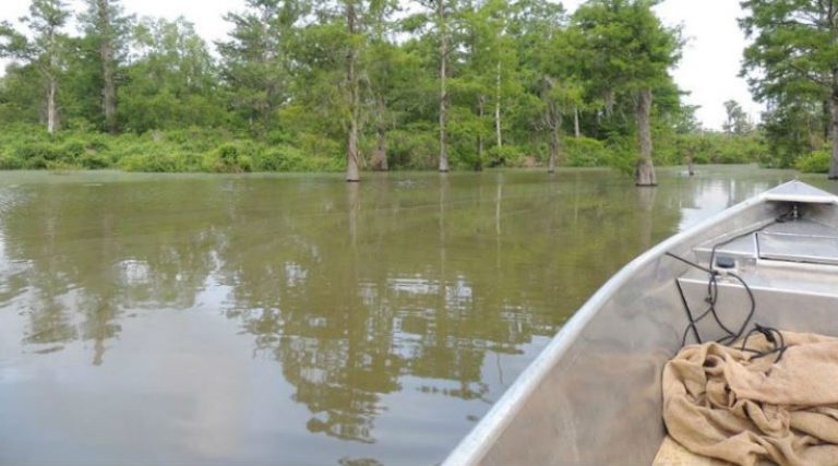 'Swamp People' Reality Star Randy Edwards Dies At Age of 35