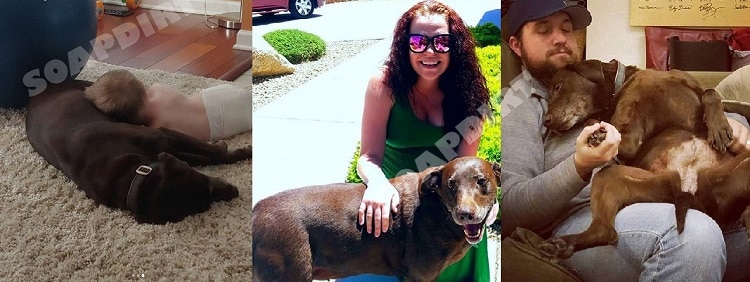 'Sister Wives': Maddie and Caleb Announce Tragic Loss | Soap Dirt