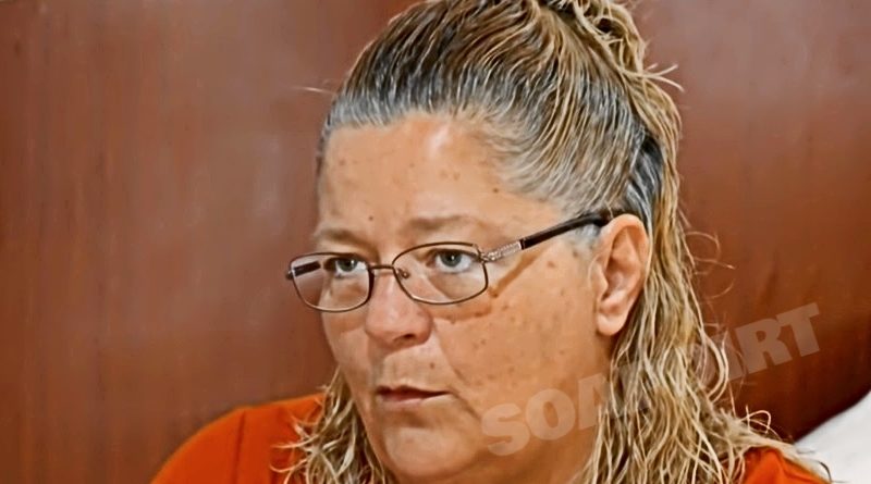 '90 Day Fiance': Lisa Hamme's Live-in Fiance Revealed - Does Usman Know ...