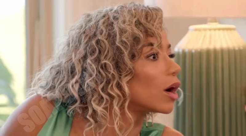 'Married to Medicine Los Angeles': Jazmin Johnson Rare Husband Gadson ...