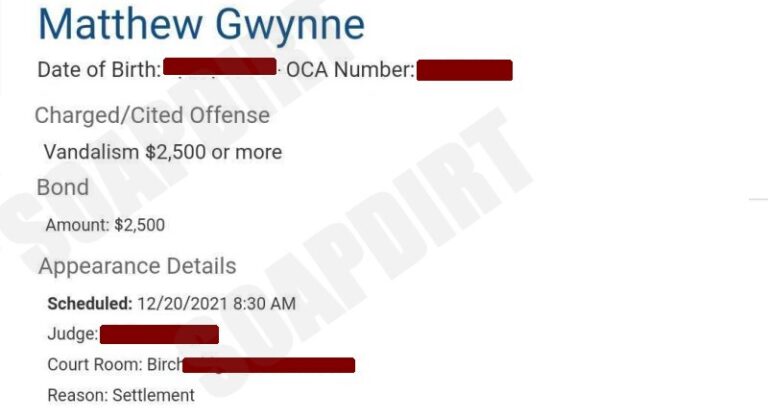 'Married at First Sight': Matt Gwynne Arrested in Nashville - Kicked in ...