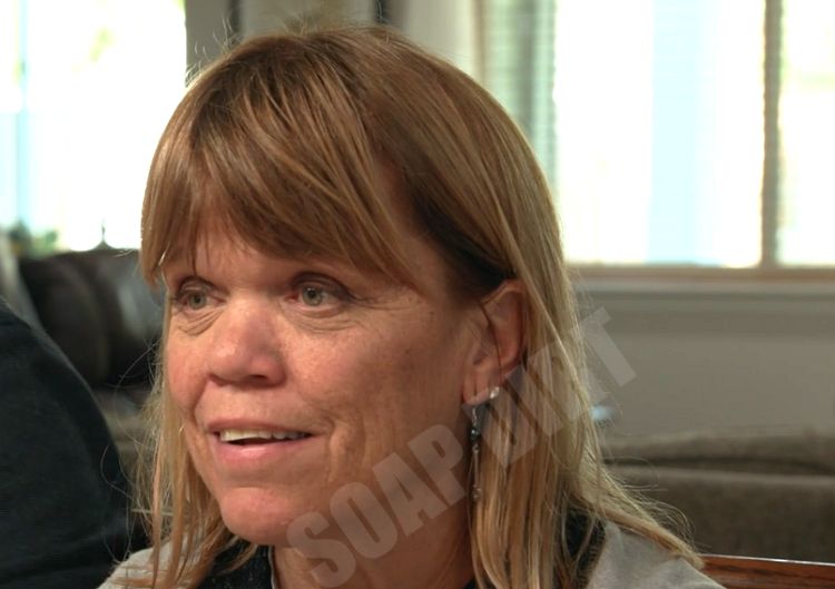 'Little People Big World': Amy Roloff Snubbed on Milestone Birthday ...