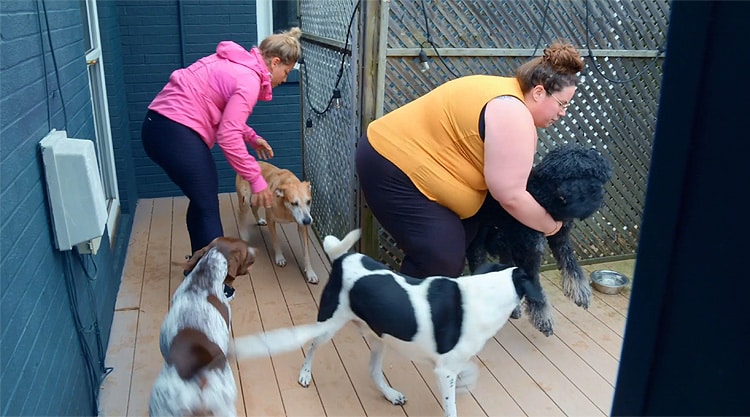 'My Big Fat Fabulous Life': Whitney Thore’s Dog Attacked | Soap Dirt