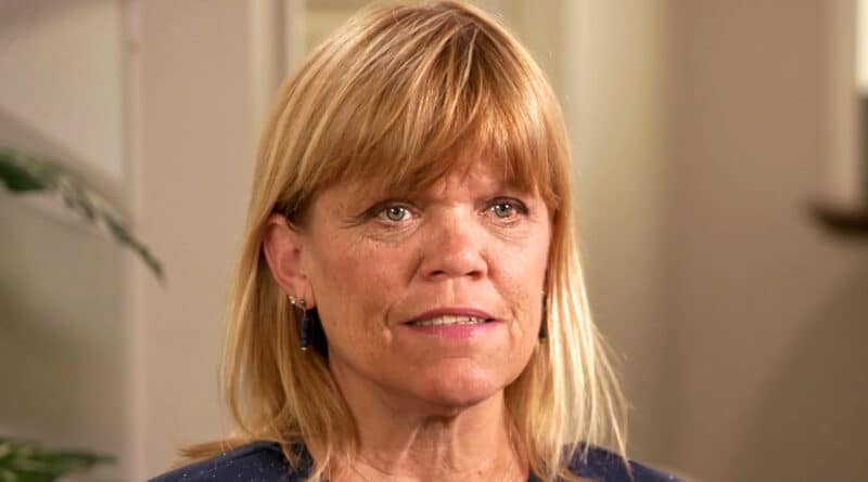'Little People, Big World': Amy Roloff Christmas Prep - Did She Get it ...