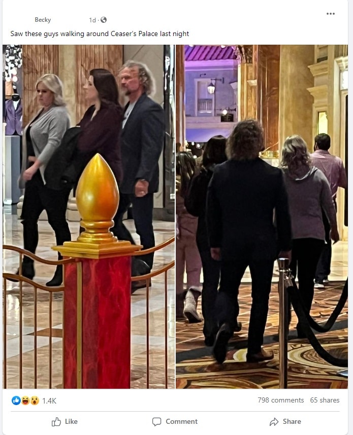 'Sister Wives': Kody & Robyn Court Future Wife - Resembles Ex? (Pic ...