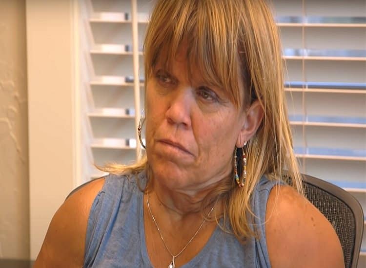 Little People, Big World: Amy Roloff Shares Cryptic Post About Changes ...